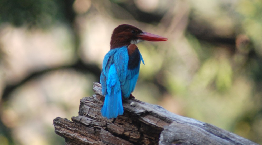 Photos | Sohan Tours & Travel