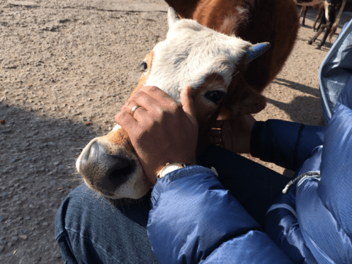 Photos | Sohan Tours & Travel